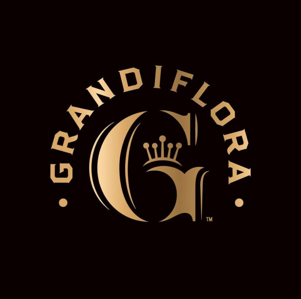 GRANDI GAS - GRANDIFLORA GENETIC SEEDS