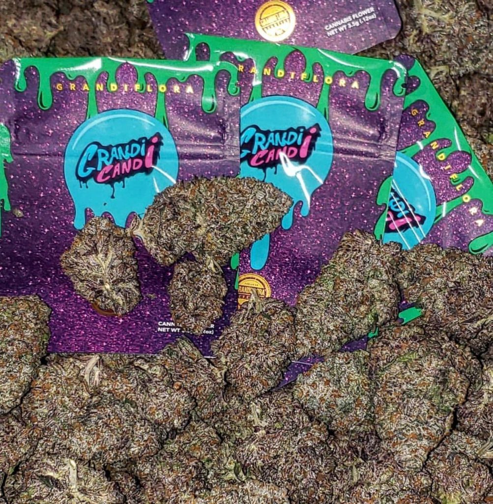 Grandiflora Genetic - Grandiflora genetics seeds for sale